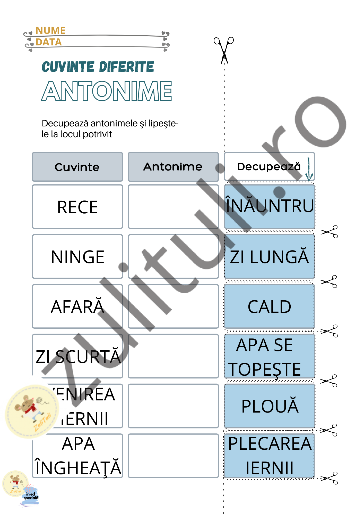 Cuvinte opuse – zulituli.ro